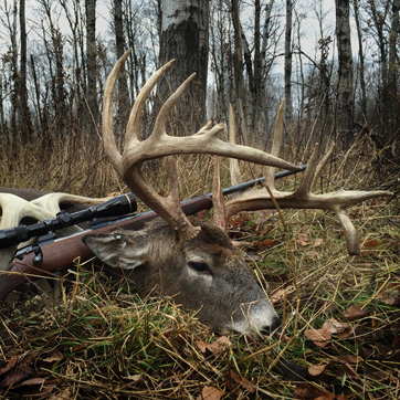 Michigan Trophy Whitetail Hunts, Large Whitetail Deer Trophy Buck ...